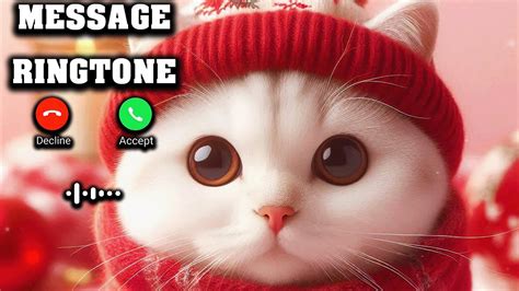 Notification Ringtone Alarm Ringtone Message Ringtone SMS