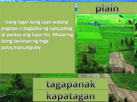 Araling Panlipunan 3 Anyong Lupa At Anyong Tubigpptx