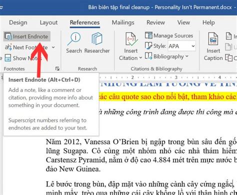 HƯỚng DẪn Insert Footnote And Endnote ĐỂ ChÚ ThÍch Trong Word Ban Biên