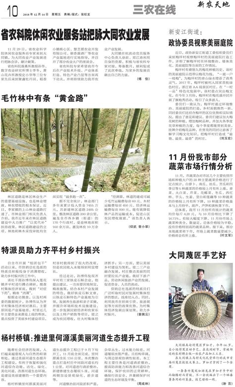 杨村桥镇：推进里何源溪美丽河道生态提升工程 今日建德
