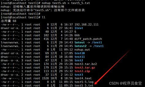 【linux】 Nohup命令使用csdn Linux Nohup Csdn博客