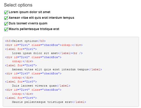 Customized Html Controls Creating Custom Checkbox Programming Code