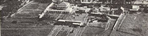 Dave Hinchliffe History Of Greyhound Racing In Australia