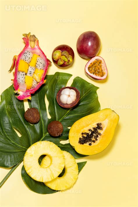 열대과일 트로피칼 잎과 열대과일 모음 사진 이미지 유토이미지 상세페이지 베이직샵 사진 22144370