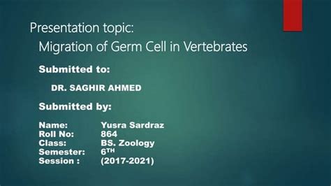 Development Of Gonads Gonad Differentiationmale Gonad And Female