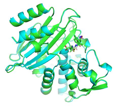 专访王晟：rna结构预测是一项非常底层的技术，可为生命科学的各个方向带来进步和突破 知乎