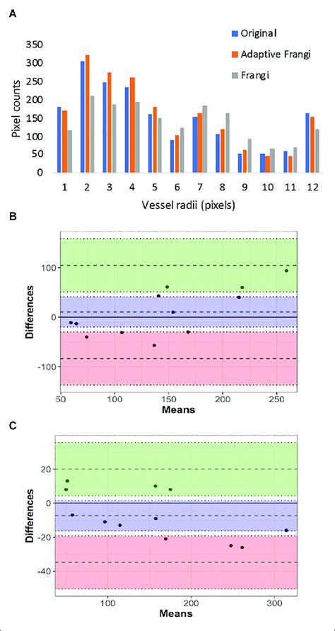 Vessel Radii Comparison In Synthetic Images A Pixel Counts For The
