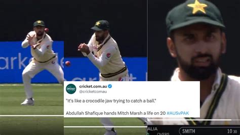 Pak Vs Aus 2nd Test Mark Waughs Priceless Reaction To Pakistans