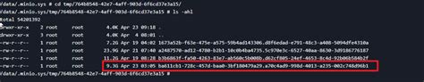 Barman Cloud Backup Process Is Stuck Because The Disk Of Minio Is Full