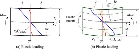 Schematic Of Strain X Direction Distribution Along Thickness Of The
