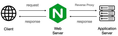 Karan Bk On Linkedin Configure Odoo With Nginx As A Reverse Proxy