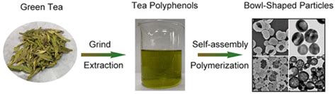 Polymerization Induced Self Assembly Of Tea Polyphenols Into Open