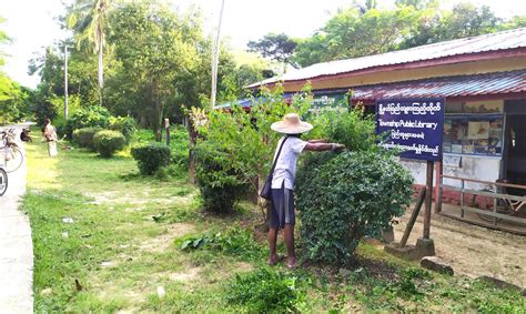 အမာမြို့ စည်ပင်သာယာရေးအဖွဲ့မှ မြို့အတွင်းသာယာလှပစေရေး လုပ်ငန်းများဆောင