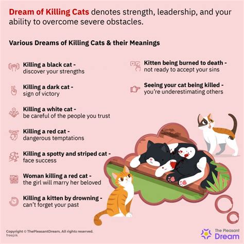 Dream About Killing Cats Experiencing A Sense Of Greed And Pursuing
