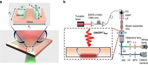 Light Enhancement In Nanoscale Structures Could Aid Cancer Detection Statnano