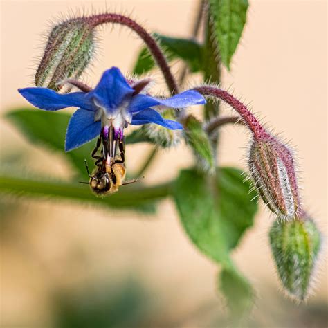 Paul Deatherage Paul Deatherage Added A New Photo