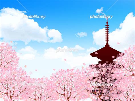桜 花 背景 イラスト素材 [ 3617127 ] フォトライブラリー Photolibrary