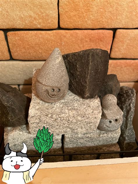サウナストーンの効果と種類について サウニャー®