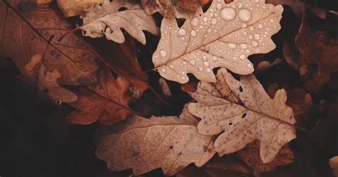 Kamay Tagalog Word My Tagalog