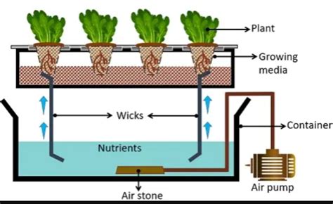 Wick Hydroponics System Component Pros And Cons