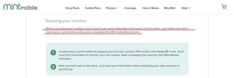 How To Fix Mint Mobile Activation Problems NetworkBuildz