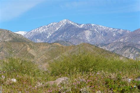 View Of Snow On The San Gorgonio Mountain From The Mission Creek