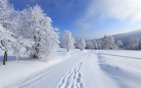 冬季冰雪美景 高清壁纸14 1680x1050 壁纸下载 冬季冰雪美景 高清壁纸 风景壁纸 V3壁纸站