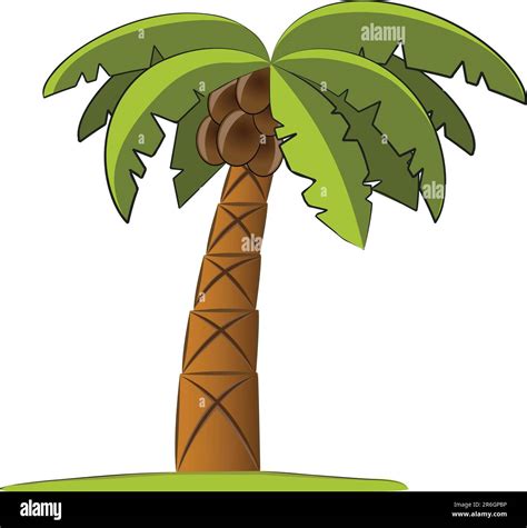 Palm Tree Vector Illustration Stock Vector Image And Art Alamy