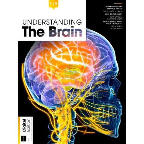 Emagazinepdf How It Works Understanding The Brain 2nd Edition