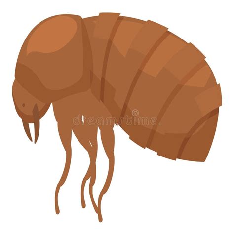 Brown Flea Insect Is Crawling With Its Big Legs Stock Vector