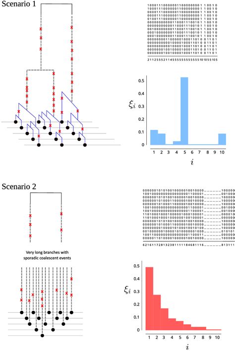 Illustration Of Scenario 1 Top And 2 Bottom Of Frequency Spectrum