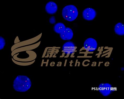 慢性淋巴细胞白血病染色体及基因异常探针检测试剂盒（原位杂交法）——p53cep17双色探针 武汉康录生物技术股份有限公司