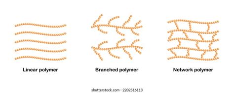 Linear Polymer Chains