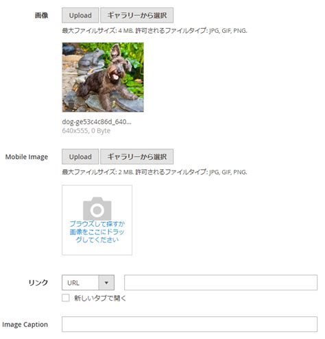 Page Builder Media Principleworks