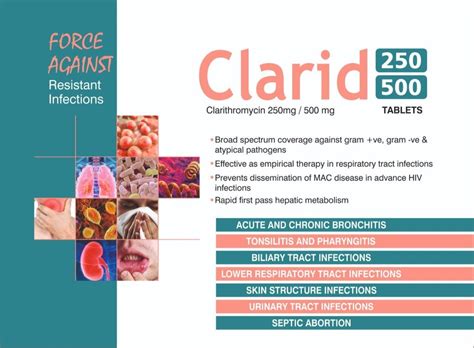 Allopathic Clarithromycin For Injection 500 Mg Vial In Pan India Id 2848957383012