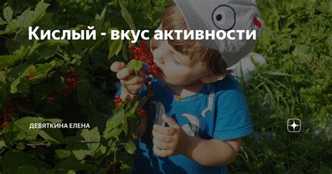 Кислый вкус активности Девяткина Елена Дзен
