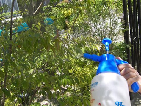 木酢液の効果とは木酢液の用途使い方植物にも虫よけにも 家庭菜園 All About