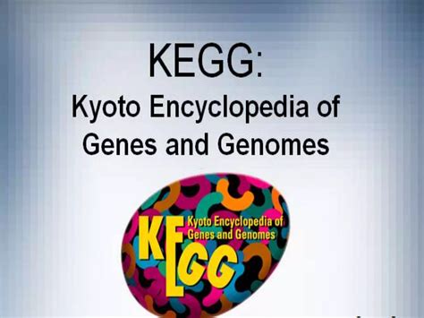 Kegg Database Resources Pptx