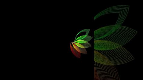Amazing Flower Design Using Python Turtle 🐢 Python Coding Funny