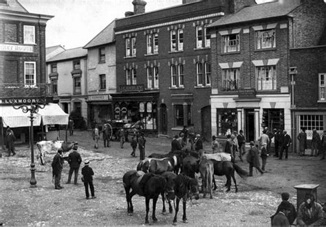 Market Square With Livestock