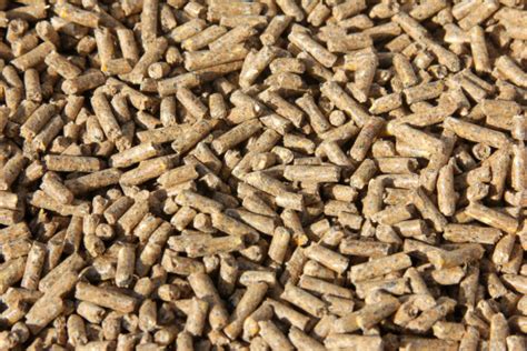 Gallery Alliance Seed Cleaning