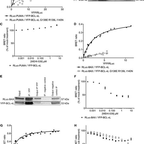 Bh3 Mimetics Do Not Inhibit Interactions Of Full Length Bcl Xl With
