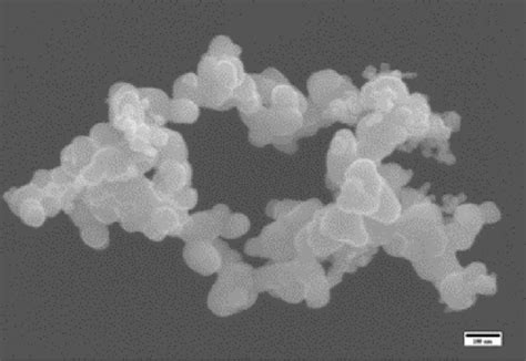 Morphology Of Ag Mno Nanoparticles Download Scientific Diagram