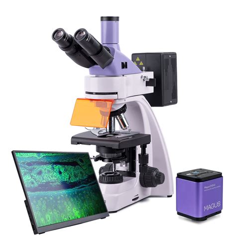 Microscopio De Fluorescencia Digital Magus Lum D400 Lcd Compre Desde