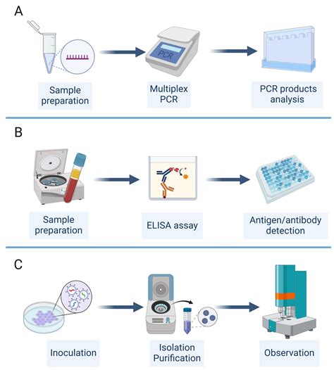 Towards Understanding And Identification Of Human Viral Co Infections