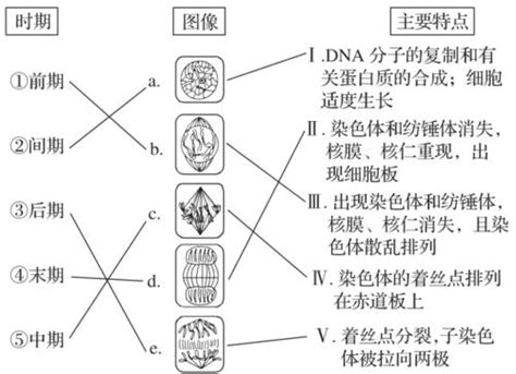 奔腾g2010相当于i几