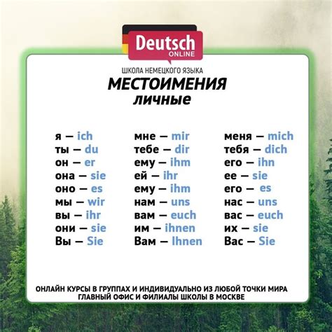МЕСТОИМЕНИЯ В НЕМЕЦКОМ ЯЗЫКЕ разбор и практика Немецкий язык