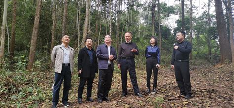 四川省农业科学院南繁科技工作处（海南分院）牟锦毅院长率队考察海南分院