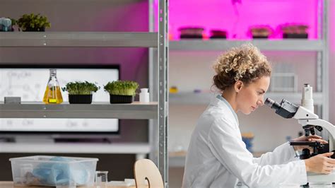 Rds Software Company Code Galaxy Rds Software Company Code Galaxy