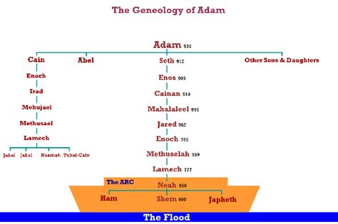 Genesis Commentary Precept Austin